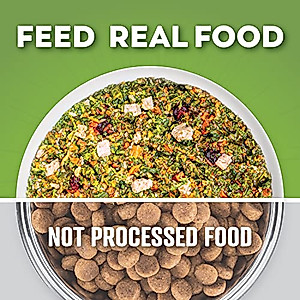 Dr. Harvey's Chicken & Garden Veggies Dog Food, Human Grade Grain-Free Dehydrated Food for Dogs with Freeze-Dried Chicken, Trial Size (5.5 Oz)