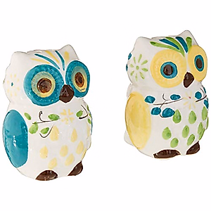 Floral Owl Salt & Pepper Shakers, Hand-painted Ceramic by Boston Warehouse, 2-Piece Set, Multicolor