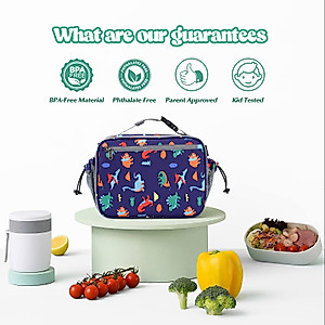 Maelstrom Lunch Box Kids,Expandable Kids Lunch Box,Insulated Lunch Bag for Kids,Lightweight Reusable Lunch Tote Bag for Boy/Girl,Suit for School/Picnic,9L,Dinosaur