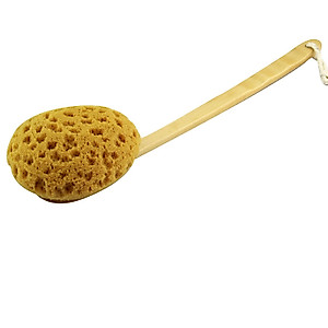 Shower Body Brush Sea Sponge Long Wooden Handle Back Scrubber Bath Brush Gentle Exfoliating Lotion Applicator