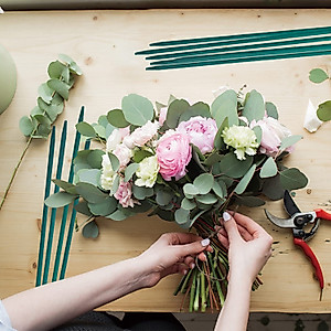 Green Bamboo Sticks Plant Stakes, Plant Support Sticks for Indoor Plants, GAGINANG Sturdy Bamboo Stakes, Floral Plant Support for Indoor and Outdoor Plants 25 Pack（18 Inches）