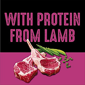 CRAVE Grain Free High Protein Adult Dry Dog Food with Lamb, 22 lb. Bag