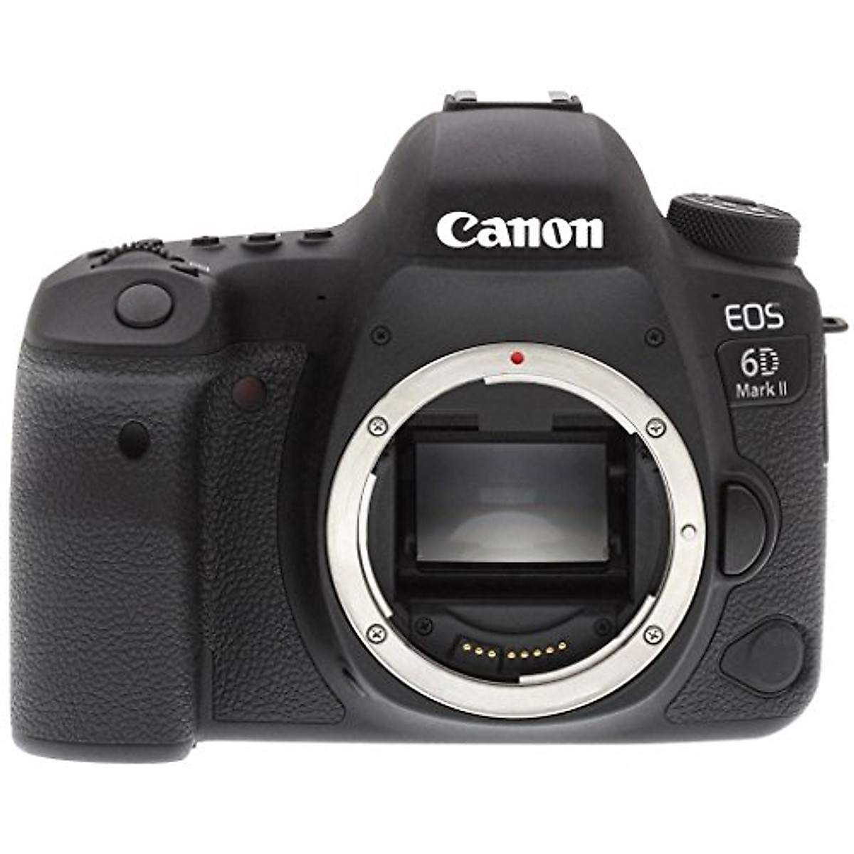 Canon EOS 6D Mark II with 50mm f/1.8 STM Prime + Tamron 70-300mm f/4-5.6 Di LD + 500mm Telephoto + 128GB Memory + Pro Battery Bundle + Power Grip + TTL Speed Light + Pro Filters,(25pc Bundle)