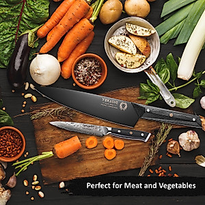 YOKASHI 67 Layers Damascus VG-10 5” Paring Knife and Black Titanium Chef Knife - Sturdy Design & Ergonomic Handles - Corrosion Resistant & Ultra Sharp Vacuum Treated Blades