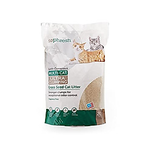 So Phresh Extreme Clumping Unscented Grass Seed Cat Litter, 20 lbs.