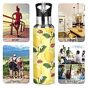 xigua Ladybug Water Bottle Double Walled Stainless Steel Leak Proof Thermo Flask for Sports Gym Cycling Outdoor,20 oz.