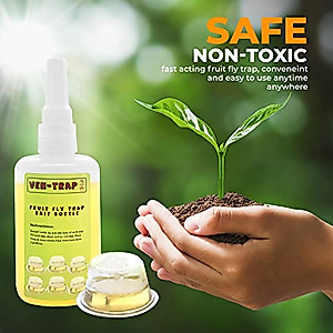 6 Pack Fruit Fly Trap | No Insecticides or Odor, Eco Friendly, Also Catch gnats