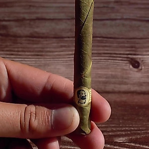 Zig-Zag Mini Palm Rolls (5 Pack) - Natural Flavor - Natural Pre Wrap Palm Leafs Pre Rolled Cones - Palm Cones