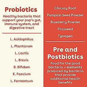 Pupford Gut Health & Immunity Supplement for Puppies and Adult Dogs, Made in The USA, Vet Approved, No Artificial Flavors, Peanut Butter and Jelly, Net Wt. 6.3 oz (120g)