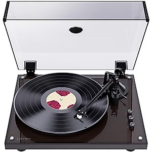 1 BY ONE Luscinia Acrylic Sheet Turntable, Belt-Drive Vinyl Record Player with Bluetooth Connectivity, Built-in Phono Preamp, USB Recording RCA Output, Adjustable Counterweight and Magnetic Cartridge