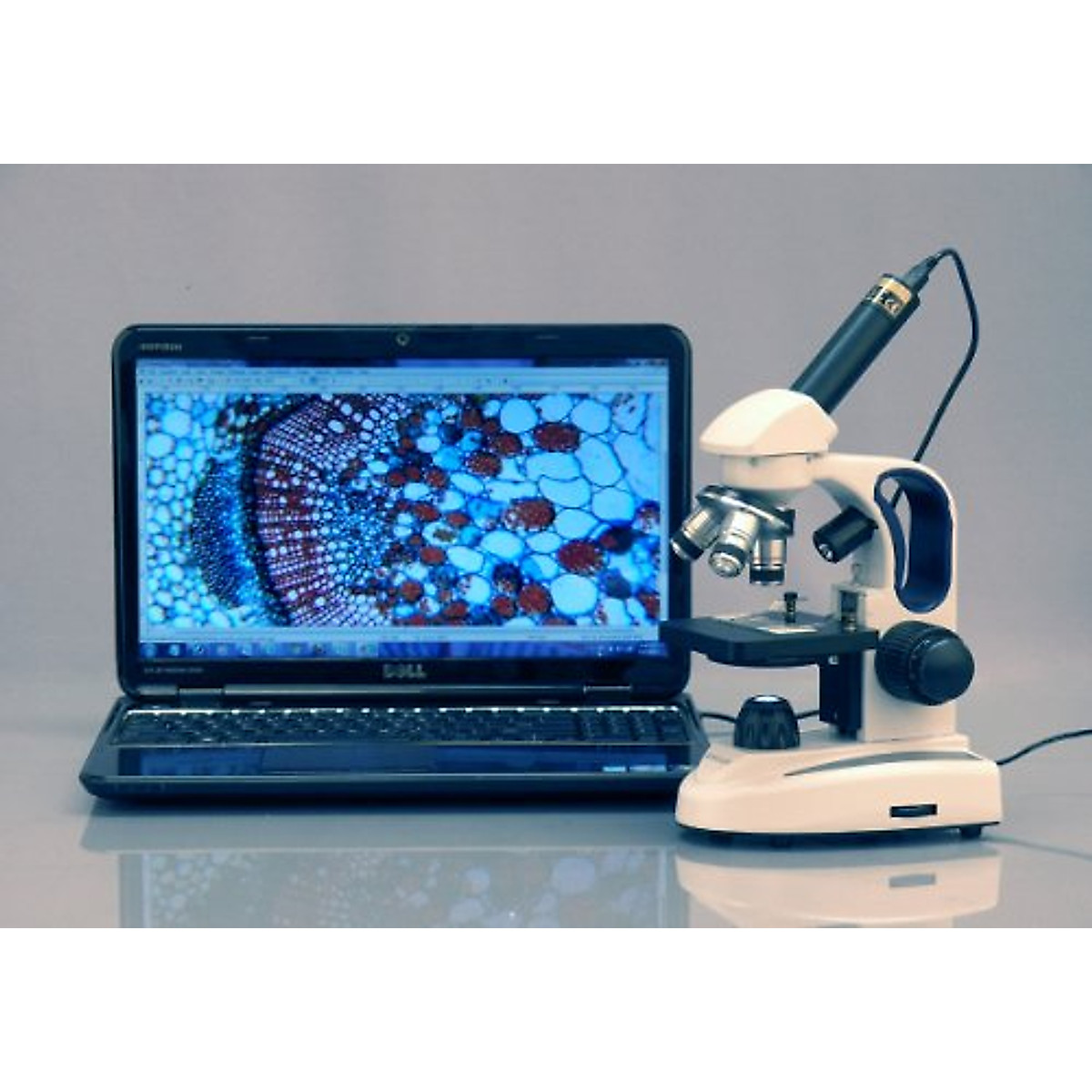 AmScope M158C-2L-PS25 Cordless Compound Monocular Microscope, WF10x and WF25x Eyepieces, 40x-1000x Magnification, Upper and Lower LED Illumination with Rheostat, Brightfield, Single-Lens Condenser, Coaxial Coarse and Fine Focus, Plain Stage, 110V or Batte