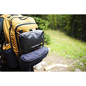 Carhartt Cargo Series, Brown, Large