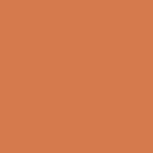 InsideMyNest Premium Quality Tissue Paper Sheets 30x20 (Burnt Orange) (20 Sheets)