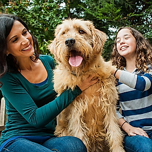 Canine Company Pet Fence Batteries for Invisible Fence Brand Receiver Collars Units – Compatible with Microlite or Microlite Plus Receiver Collars - Single Pack