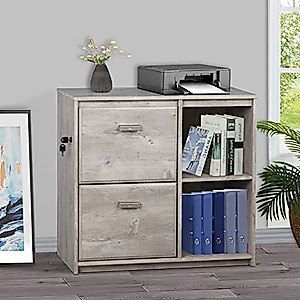 Saint Birch Elma 2-Drawer Modern Wood File Cabinet in Washed Gray