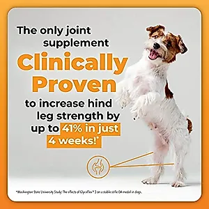 VETRISCIENCE Glycoflex 3 Clinically Proven Hip And Joint Supplement With Glucosamine For Dogs, 120 Chews - Vet Recommended Mobility Support Supplement With DMG, MSM, And Perna