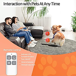 Tuwicx Interactive Dog/Cat Toys for Boredom and Stimulating, Durable Motion Activated Automatic Rolling Ball Toys for Puppy/Small/Medium Dogs