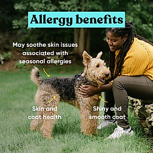 Embark Allergy Supplement for Dogs – Dog Allergy Chews, Support for Itchy Skin & Seasonal Skin Irritation – Vet-Formulated with All-Natural Ingredients – 90 Soft Chews for Small and Large Breed Dogs