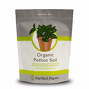 Perfect Plants Organic Pothos Soil | Horticultural Potting Mix for All Indoor Potted Pothos | Grow Healthy houseplants Indoors (4qts.)