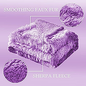 Exclusivo Mezcla Twin Size Faux Fur Bed Blanket, Super Soft Fuzzy and Plush Reversible Sherpa Fleece Blanket and Warm Blankets for Bed, Sofa, Travel, 60X80 inches, Purple