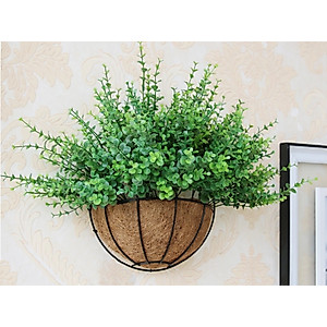 Tosnail 2 Pack Metal Wall Hanging Planter Basket with Coco Liner - Great for Indoor or Outdoor Plants