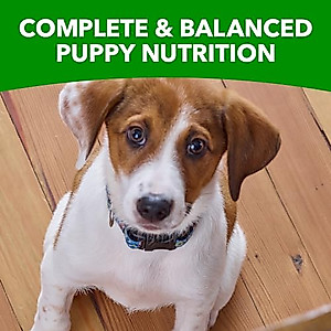 IAMS Proactive Health Smart Puppy Small Breed Dry Dog Food with Real Chicken, 7 lb. Bag