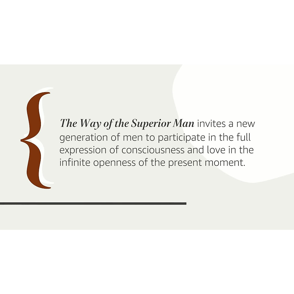 The Way of the Superior Man: A Spiritual Guide to Mastering the Challenges of Women, Work, and Sexual Desire (20th Anniversary Edition)