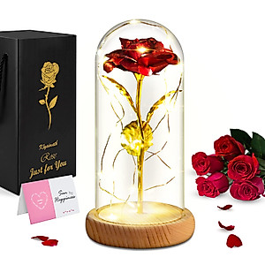 Klysimath Beauty and The Beast Rose, Red Rose Gifts for Women, Forever Rose in Glass Dome, Enchanted Rose Romantic Gifts for Her, Girlfriend, Wife, Mom, Valentine's Day, Mother's Day