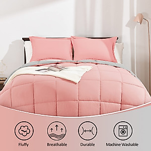 Basic Beyond Twin Comforter Set for Girls and Boys - Fluffy Twin Bed Comforter Set for All Seasons - Reversible Pink and Grey Twin Comforter Set - 2 Pieces (1 Comforter + 1 Pillow Sham)