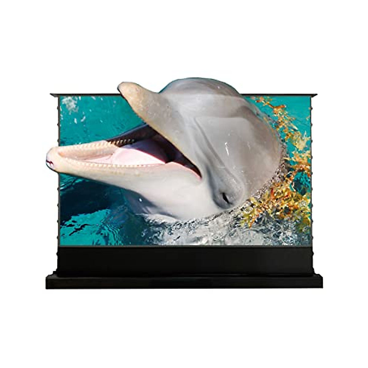 VIVIDSTORM-Projection Screen S PRO 100 inch Portable Folding Stand Indoor Tension ALR Floor Screen, Compatible with 4K/3D/HD Ultra Short Throw Laser Projector,VBMDSTUST100H