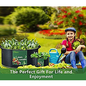LINERY 1-Pack 50 Gallon Planting Bag Black Heavy Duty Thickened Large Capacity Upgrade Hemming Process Grow Bag with Handles Non-Woven Fabric Plant Pots (【1-50 G】)
