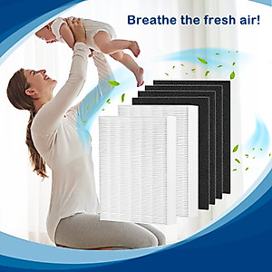 Air108 HEPA Filter Replacement Compatible with Oreck AirInstinct Air Cleaner Purifiers 75, 100, 108, 150, 200, Including 2 Ture HEPA Filters and 4 Carbon Pre-Filters