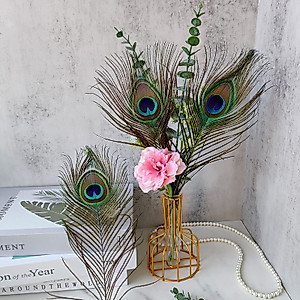 THARAHT 12pcs Peacock Feather Natural in Bulk 10-12 inch 25-30cm for Craft Vase Wedding Home Party Christmas Day Decoration Peacock Feathers