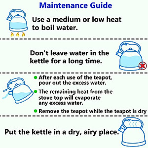 Foedo Tea Kettle, 3 Quart Whistling Tea Kettle for Stovetop with Cool Grip Ergonomic Handle, Food Grade Stainless Steel Tea Pots for Stove Top, Gas Electric Applicable