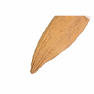 Penn-Plax Kapok Pod for Birds and Small Animals – Meets and Satisfies The Various Chewing and Nesting Needs of Tiny Critters