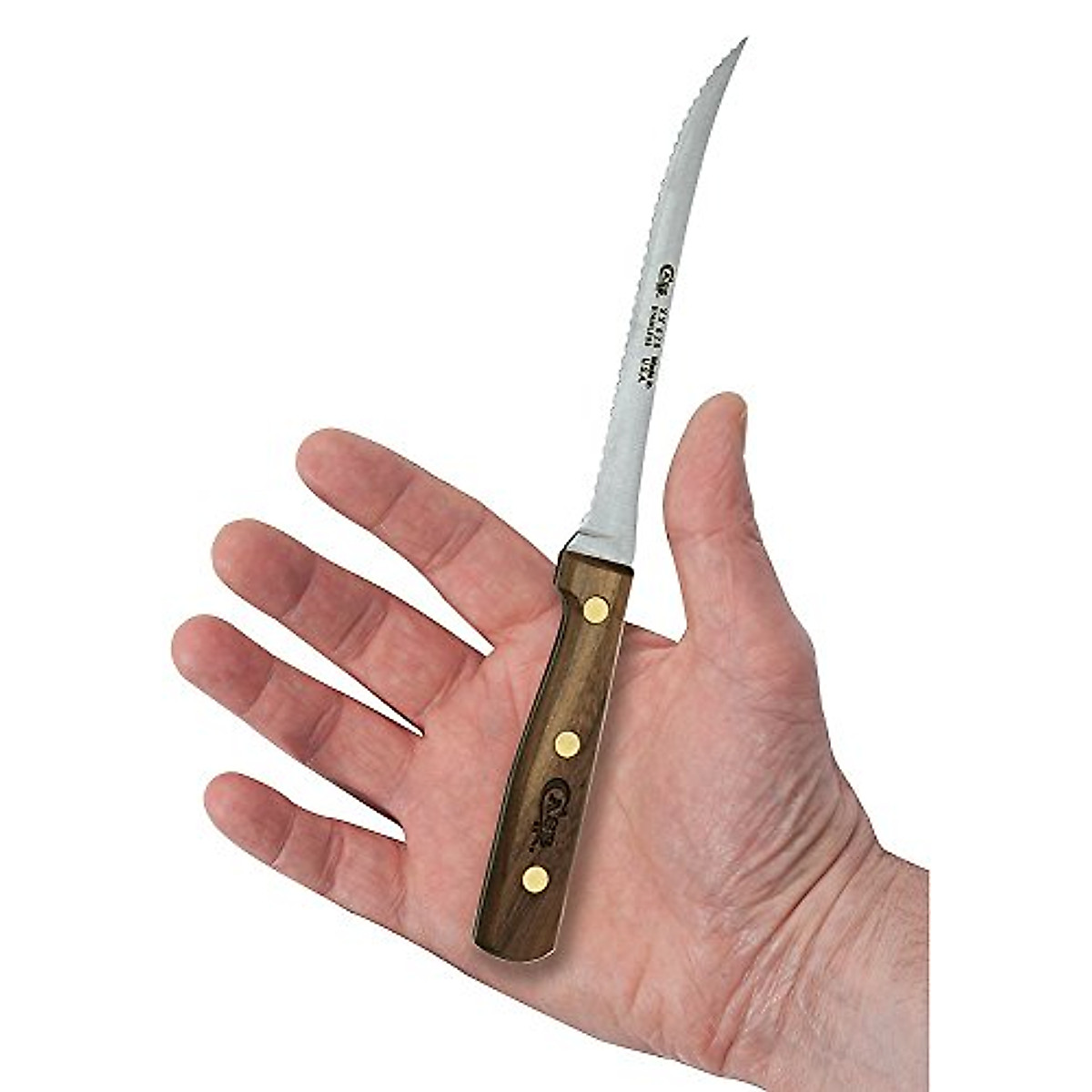 Case WR XX Pocket Knife 5 1/2 Inch Tomato/Utility Knife Item #7313 - (XX628) -