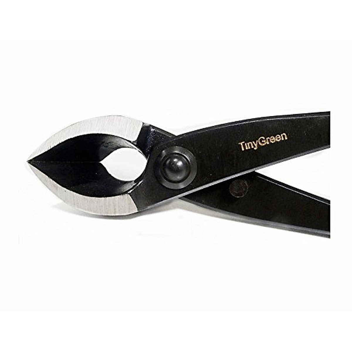 TinyGreen Japan Bonsai Tool: Professional Grade Japanese Concave CuttersQ