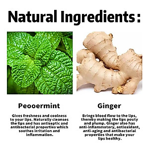 MIESCHER Lip Plumper Gloss Moisturize Hydrating Liquid Lipstick Smooth Wet n Wild Jelly Lip gloss Stick Honey Shine Lip Sexy Red Plumping Lip Best Clear Lip Plumper Balm Liquid Party Disco (Coffee)