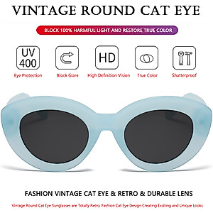 AIEYEZO Oversized Cat Eye Sunglasses for Women Cute Oval Thick Frame Cateye Sun Glasses Chic Retro Style Shades (Blue)