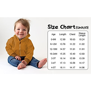 ZOELNIC Toddler baby boy clothes winter hoodie zipper sweatshirt tops COOL LITTLE DUDE letter printed long sleeve (Khaki, 12-18 Months)