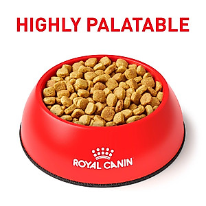 Royal Canin Canine Ultamino Dry Dog Food, 19.8 lb