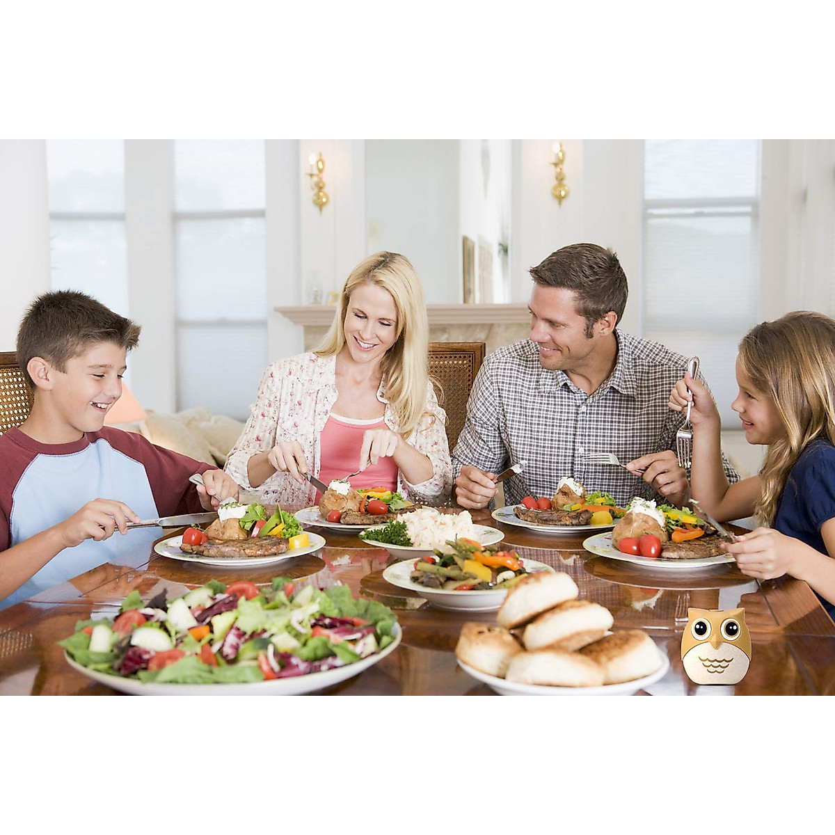 Cute Toothpick Holder Dispenser with 100 Natural Bamboo Toothpicks, Awsaccy Portable Plastic Funny Decorative Toothpick Container Storage Box for Kitchen Restaurant Party Car, Unique Gift Idea (Owl)