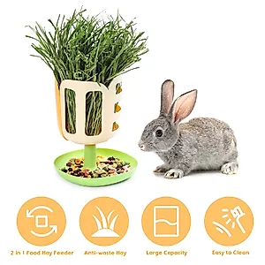 VCZONE Anti-Waste Large Capacity Hay Feeder for Guinea Pig, Rabbit, Chinchilla - 2 in 1, Orange