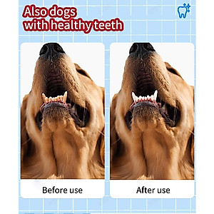 Patchy's Pets Puppy and Dog Toothbrush Dental Chew Toy Bone, Teeth Cleaning, Teething, Soft Flexible Durable Rubber Dog Toys, Small Treat Holder, Puppy and Small Breeds, Non Toxic (Yellow)