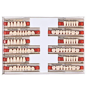 Angzhili 84 Pcs Dental Complete Acrylic Resin Denture False Teeth 3 Sets Synthetic Polymer Resin Denture Teeth 23 Shade A2 Upper + Lower Dental Materials