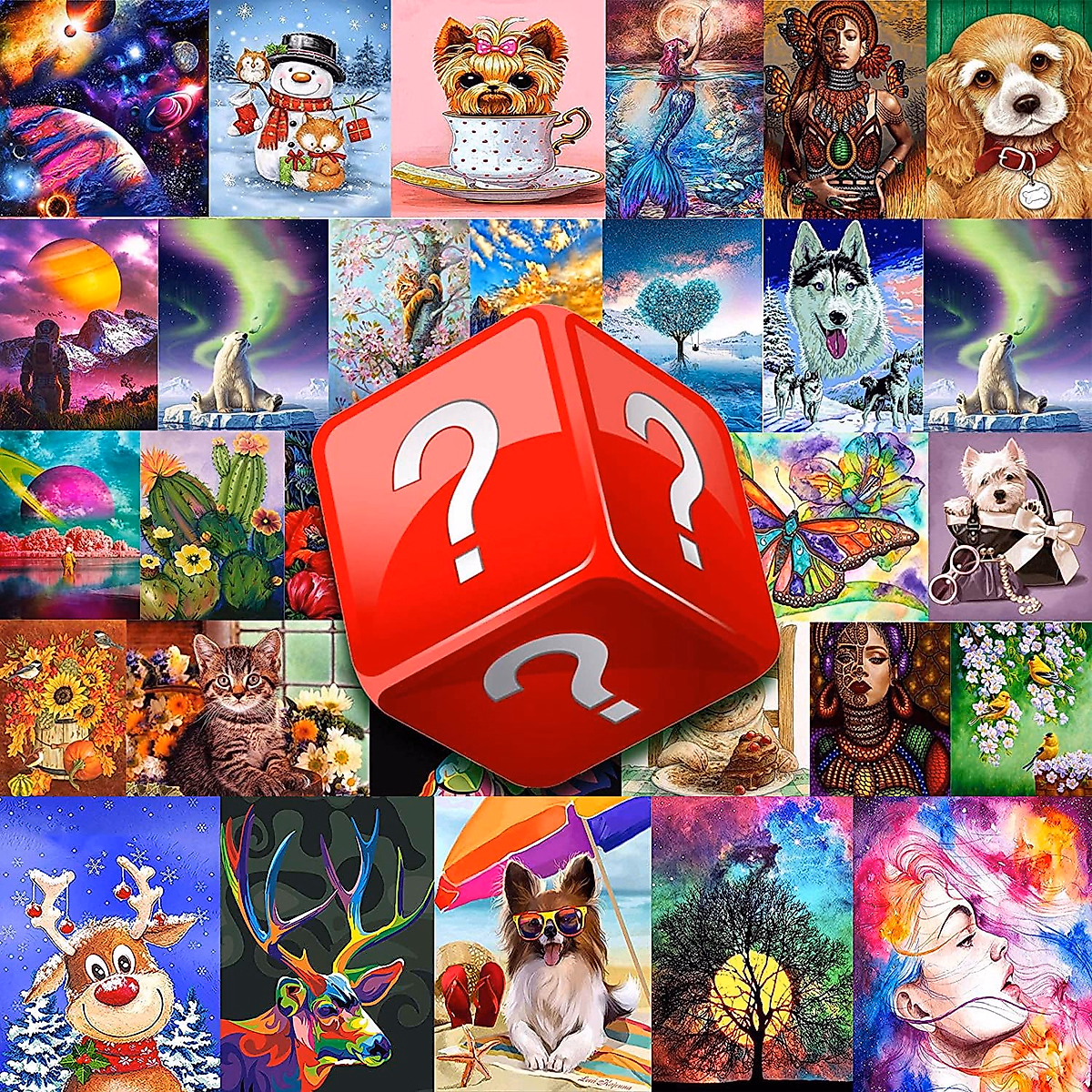 Haocy Mystery Diamond Painting Kit, Random Diamond Art Kit for Adults, 5D Paint with Diamond Full Drill for Gift, Wall Dcor