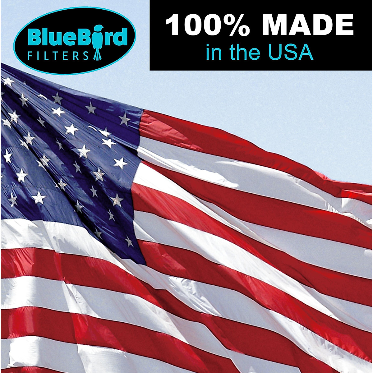 BlueBird Filters Replacement HEPA Filter & Carbon Pre Filter Kit For Honeywell 50250 50250-S OEM Part Number 24000 (1 HEPA & No Pre-Filter)