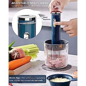 Cordless Food Chopper Electric, AYOTEE Portable Food Processor With USB Charging, Multi Speed Adjustable 2 Blades, 500Ml Bowl & 3 * 100Ml Bowl, Food Blender Suitable For Meat, Veggie, Nuts, Baby Food