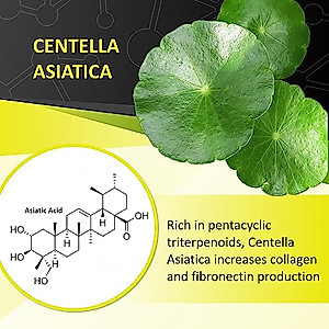 GastroMend Ulcer Supplement for Horses, 100% Natural Equine Stomach Health for Horses, Promotes Healing & Prevention of Gastric Ulcers, Supports Gastric and Hindgut Health, 30 Servings, Made in USA