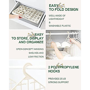 GOYOR 4-Shelf Plastic Hanging Closet Organizer, Collapsible Hanging Closet Shelves, Hanging Organizer for Closet & RV, White, 31" H X 11" W X 11" D, 1-Pack.